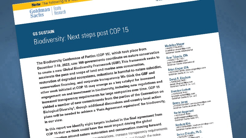 GS SUSTAIN: Biodiversity – Next Steps Post COP 15 | Goldman Sachs