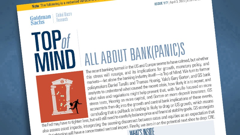 All about bank(panic)s | Goldman Sachs